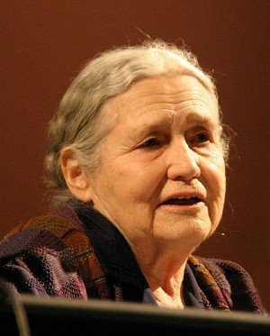Autobiographical elements in To Room Nineteen by Doris Lessing | Jotted ...